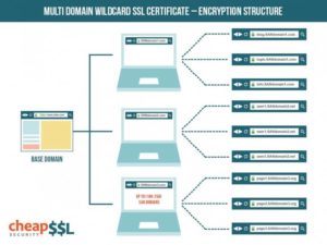 What is Multi-Domain Wildcard SSL and How it protects 250 domains