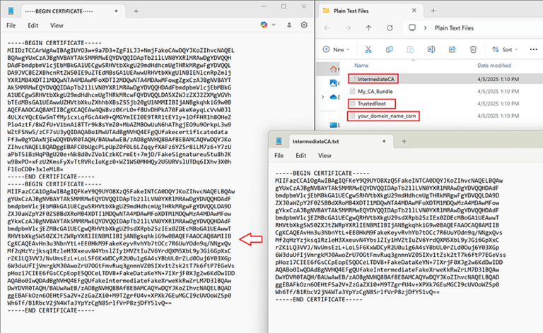 From CRT to PEM: A Simple Guide to SSL File Conversions - Cheap SSL ...