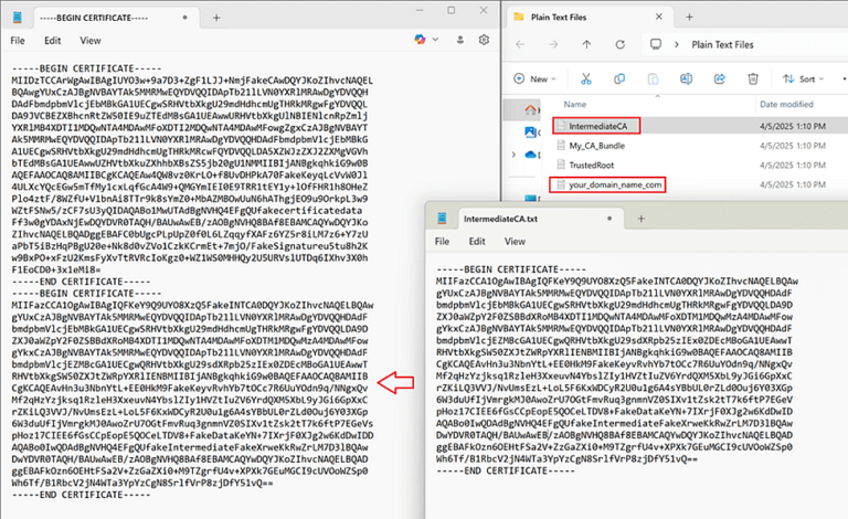 From Crt To Pem A Simple Guide To Ssl File Conversions Cheap Ssl