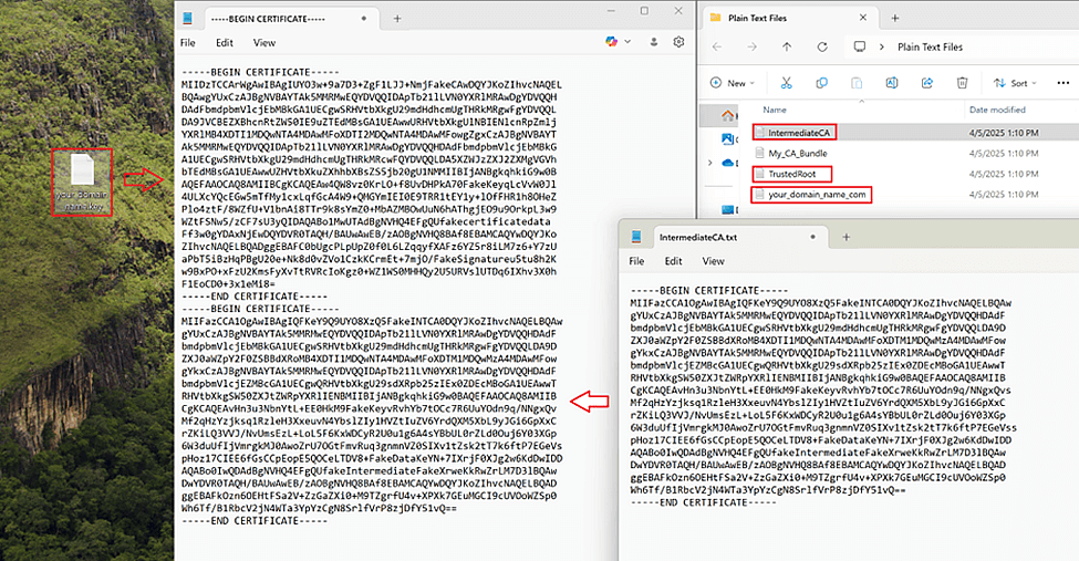 From CRT to PEM: A Simple Guide to SSL File Conversions - Cheap SSL Security