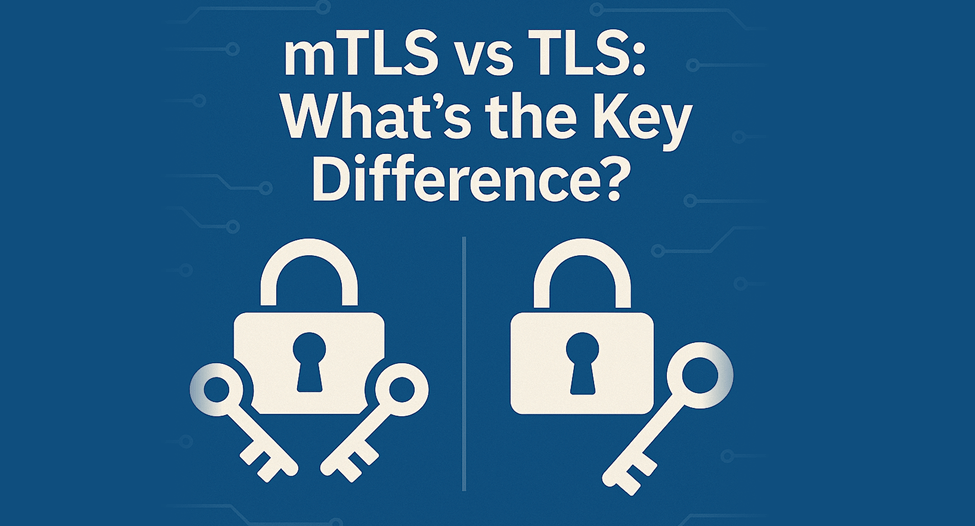 mTLS vs TLS: What's the Key Difference? - Cheap SSL Security