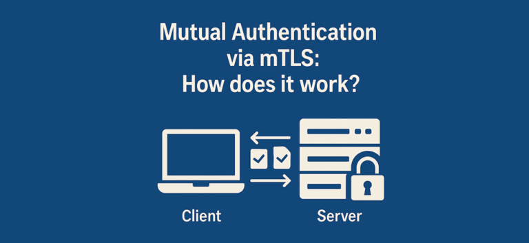 Mutual Authentication via mTLS: How Does It Work? - Cheap SSL Security